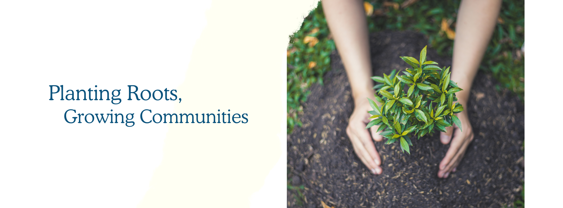 GrowPro - Planting Roots, Growing Communities!