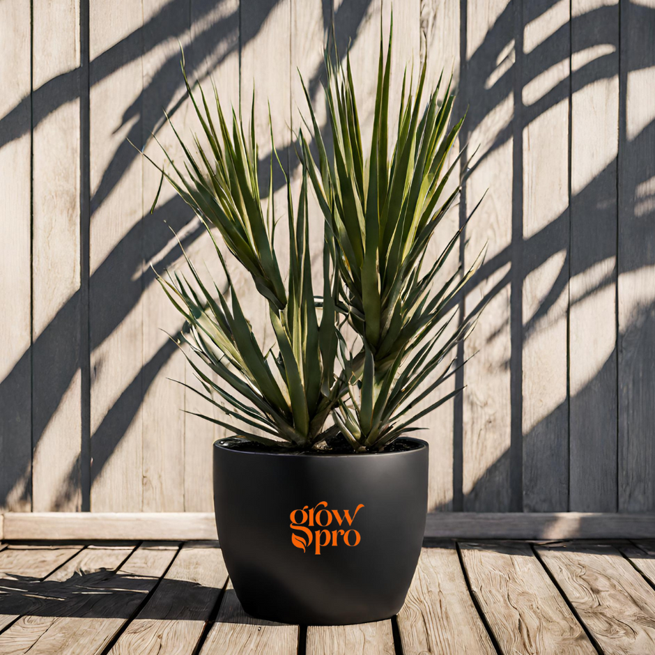 GrowPro - Planting Roots, Growing Communities!